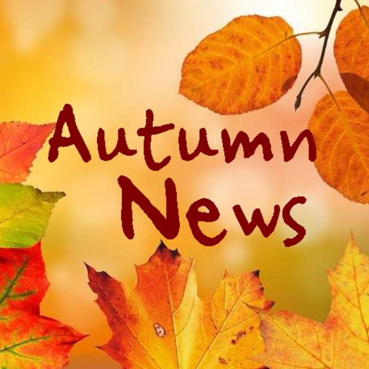Ellen Wilkinson Primary School - Autumn Updates