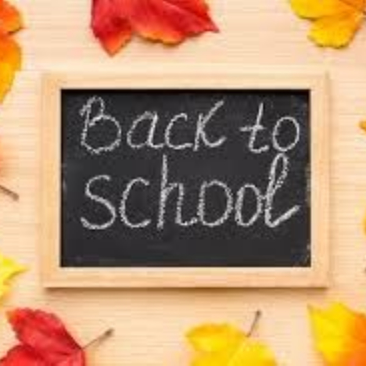 Ellen Wilkinson Primary School - Autumn Updates